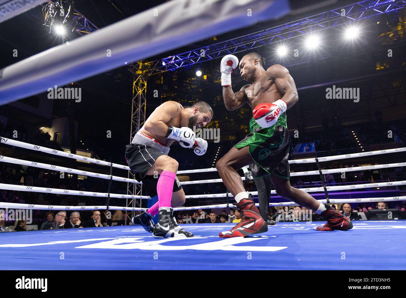 Wbc heavy hi-res stock photography and images - Alamy