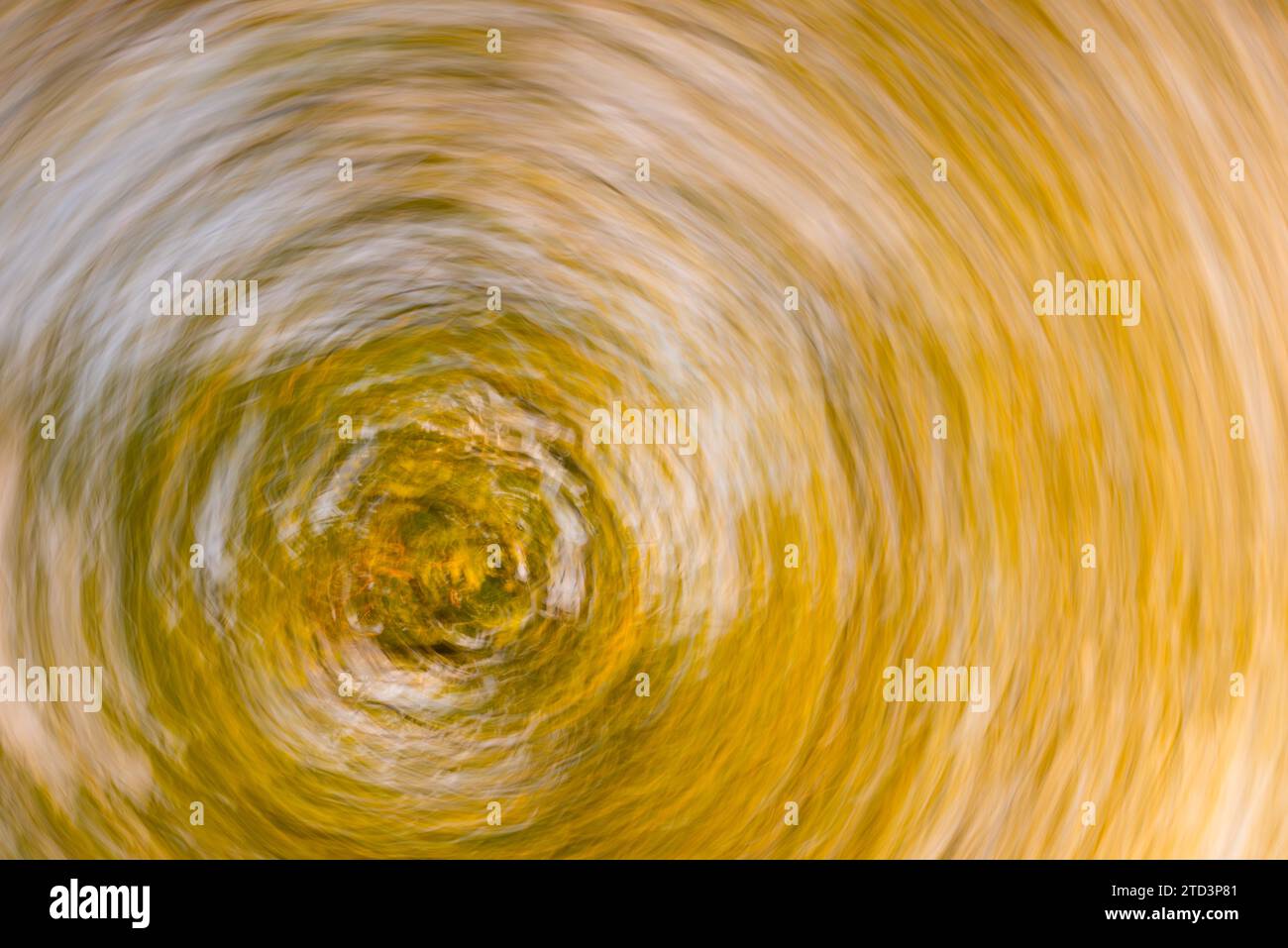 Abstract painting with dynamic swirl in yellow and gold tones ...