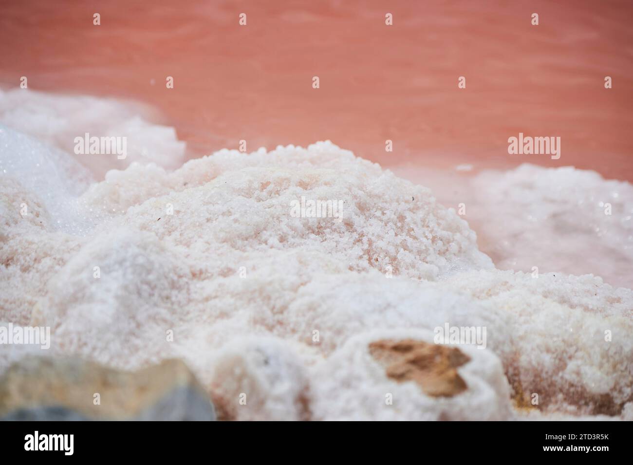 Salt crust at the waters edge of a little salt water pond for ...