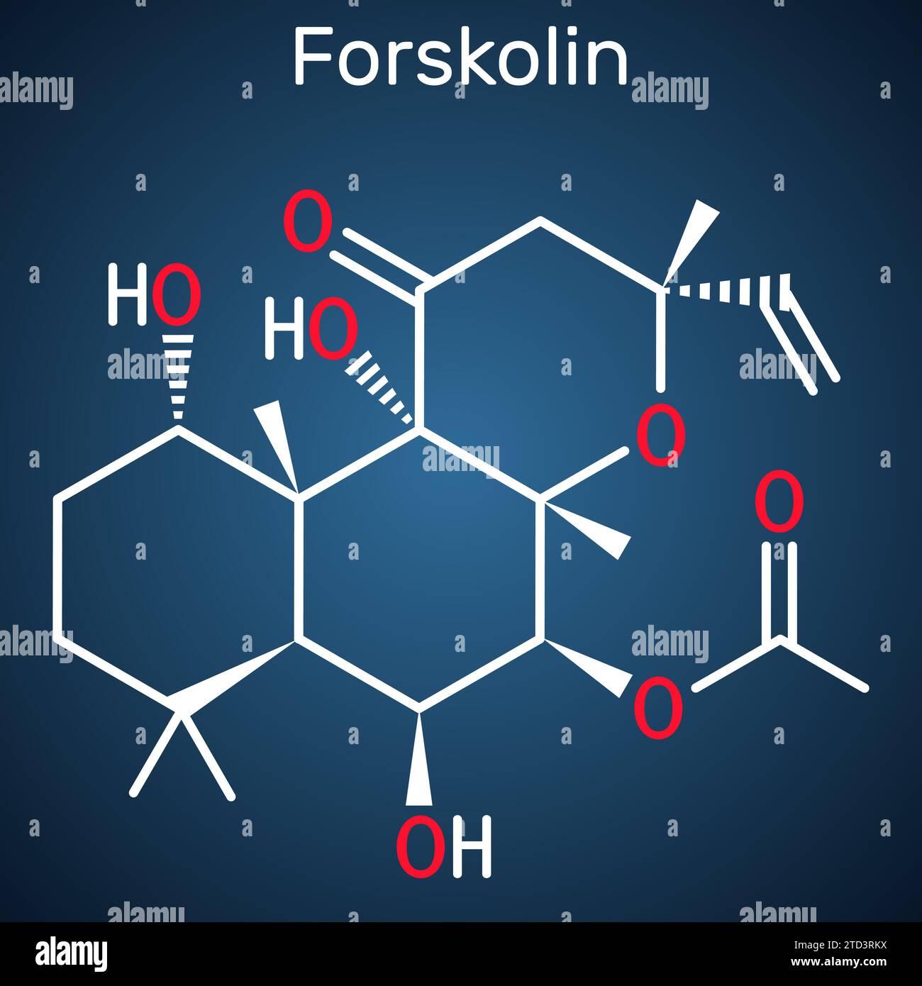 Blue coleus Stock Vector Images - Alamy