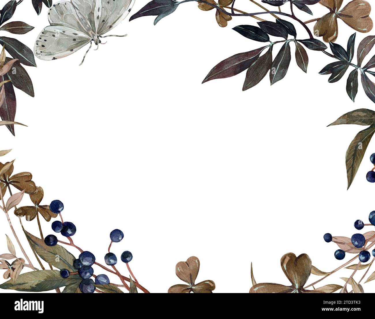 Floral frame with eucalyptus branches, viburnum berries and butterflies ...