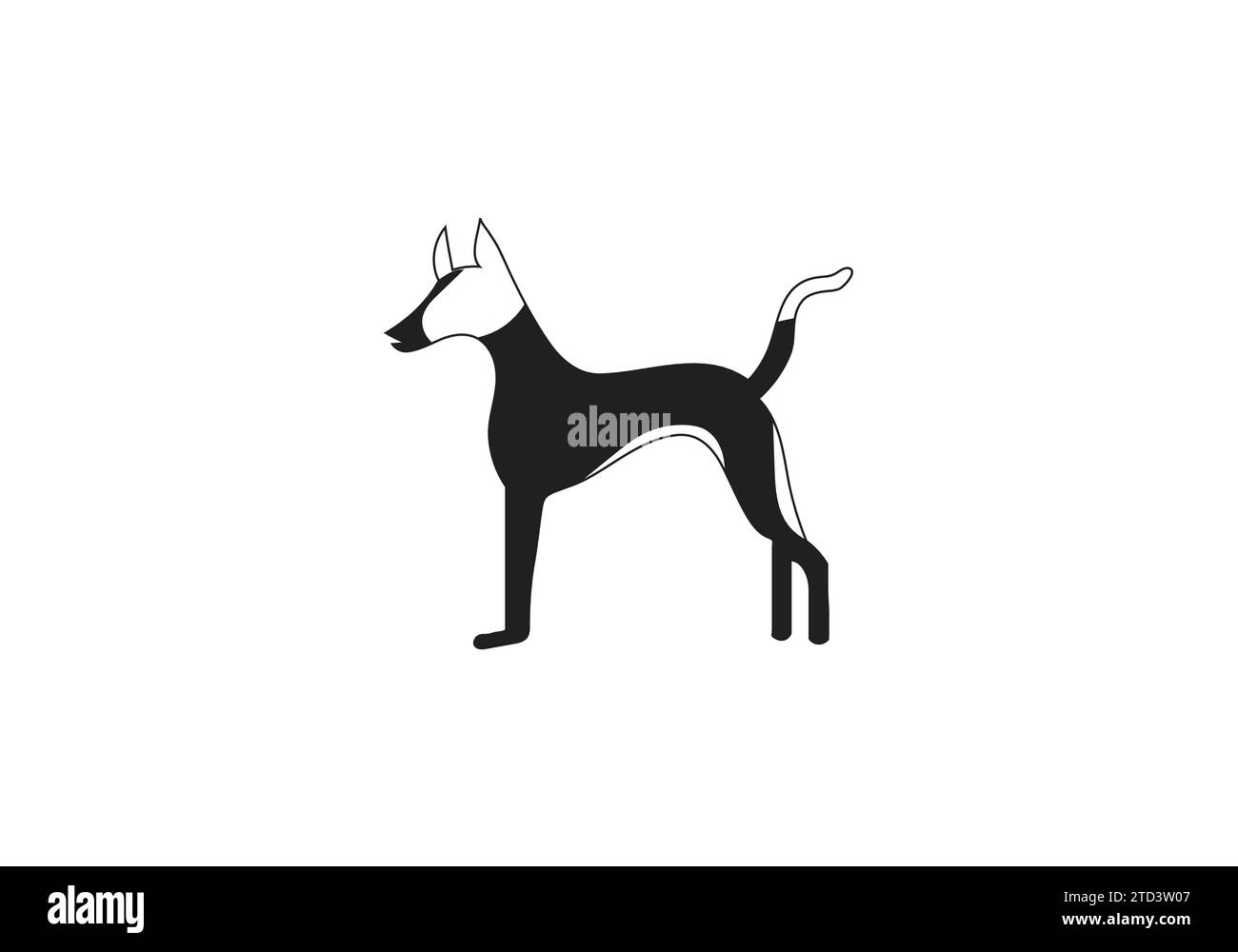 Basenji basenji dog Stock Vector Images - Alamy