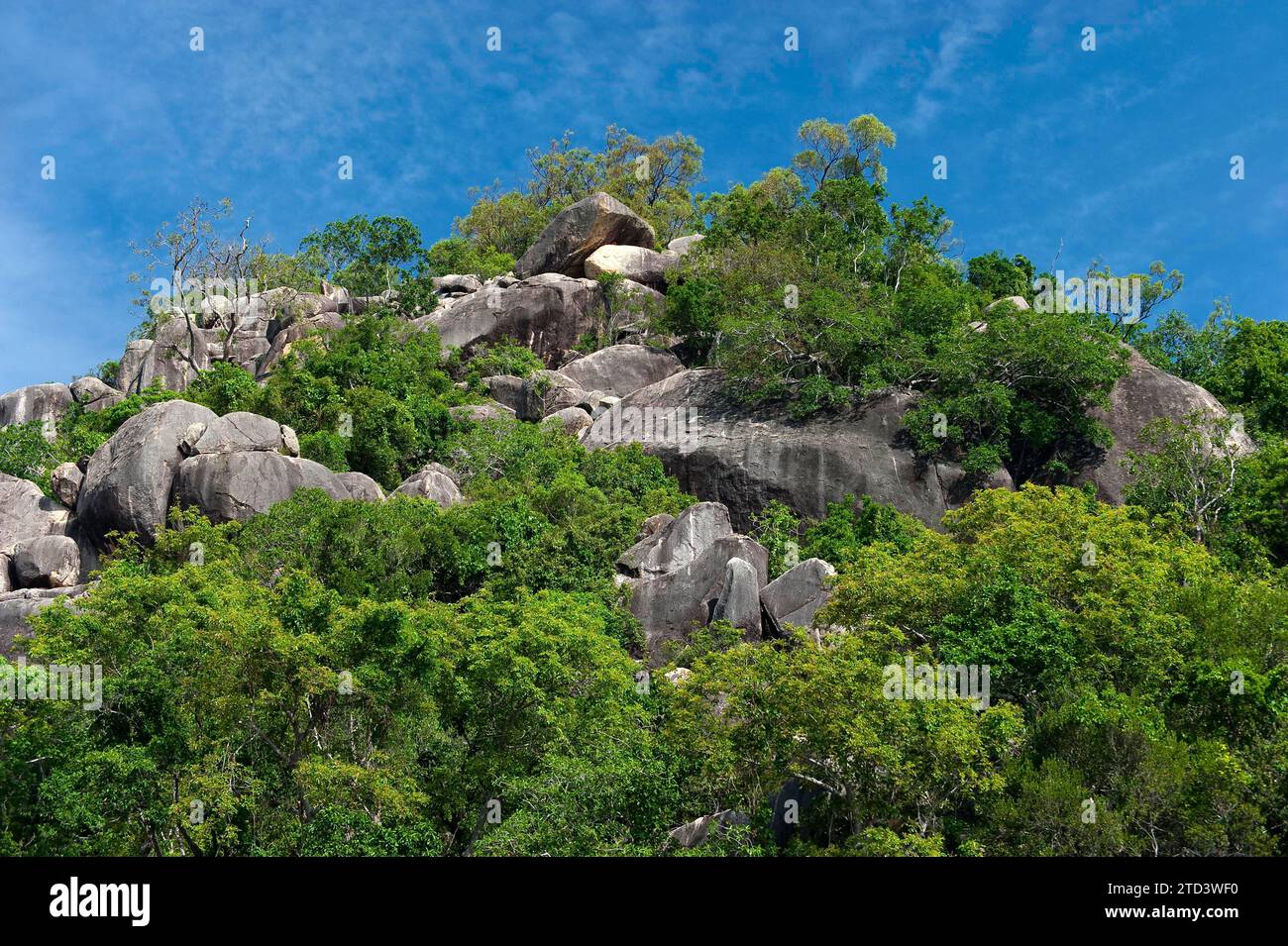 Hill with granite rocks, stone, granite, nature, landscape, geography ...