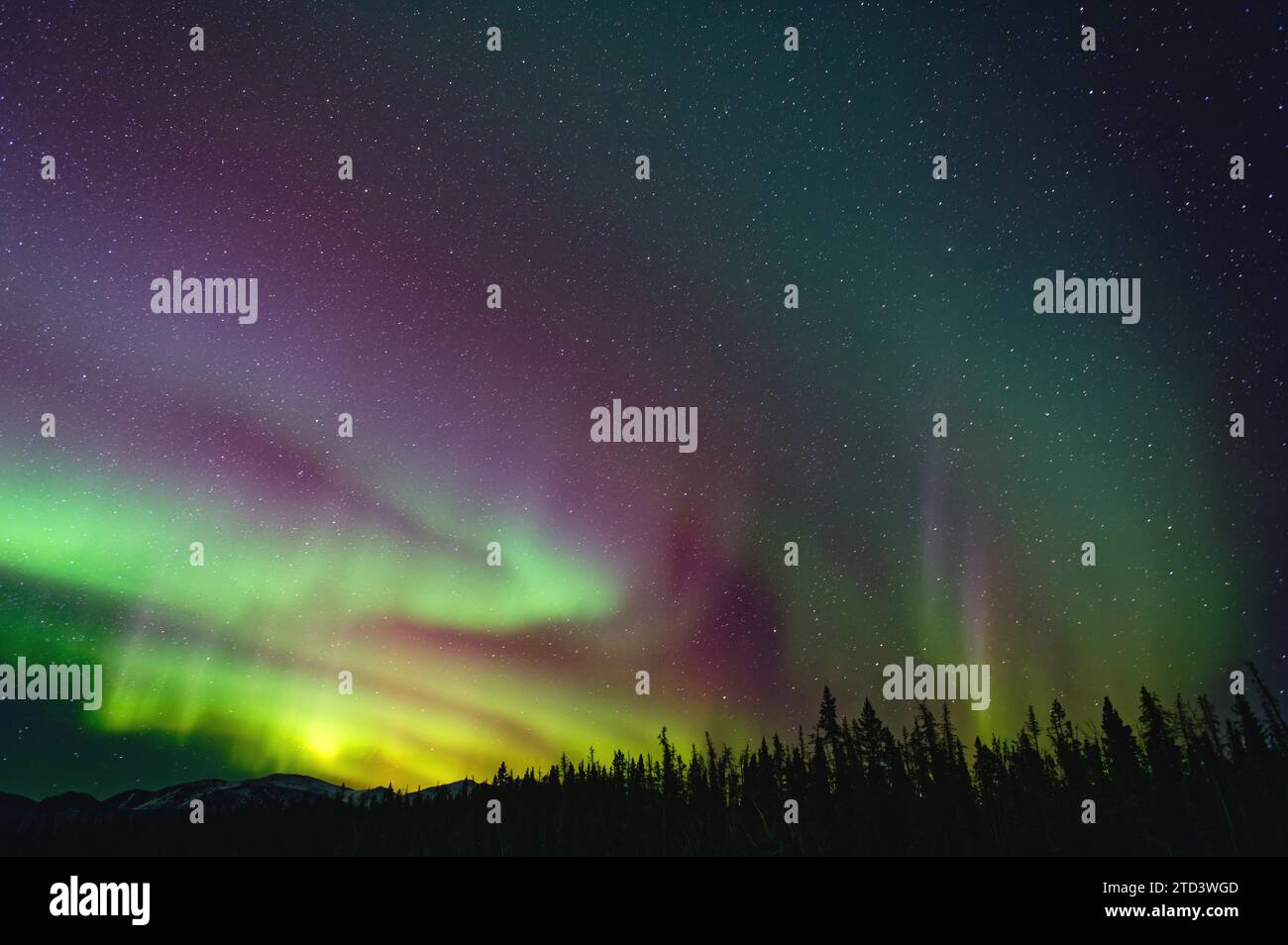 Northern lights (Aurora borealis) in different colours, starry sky ...