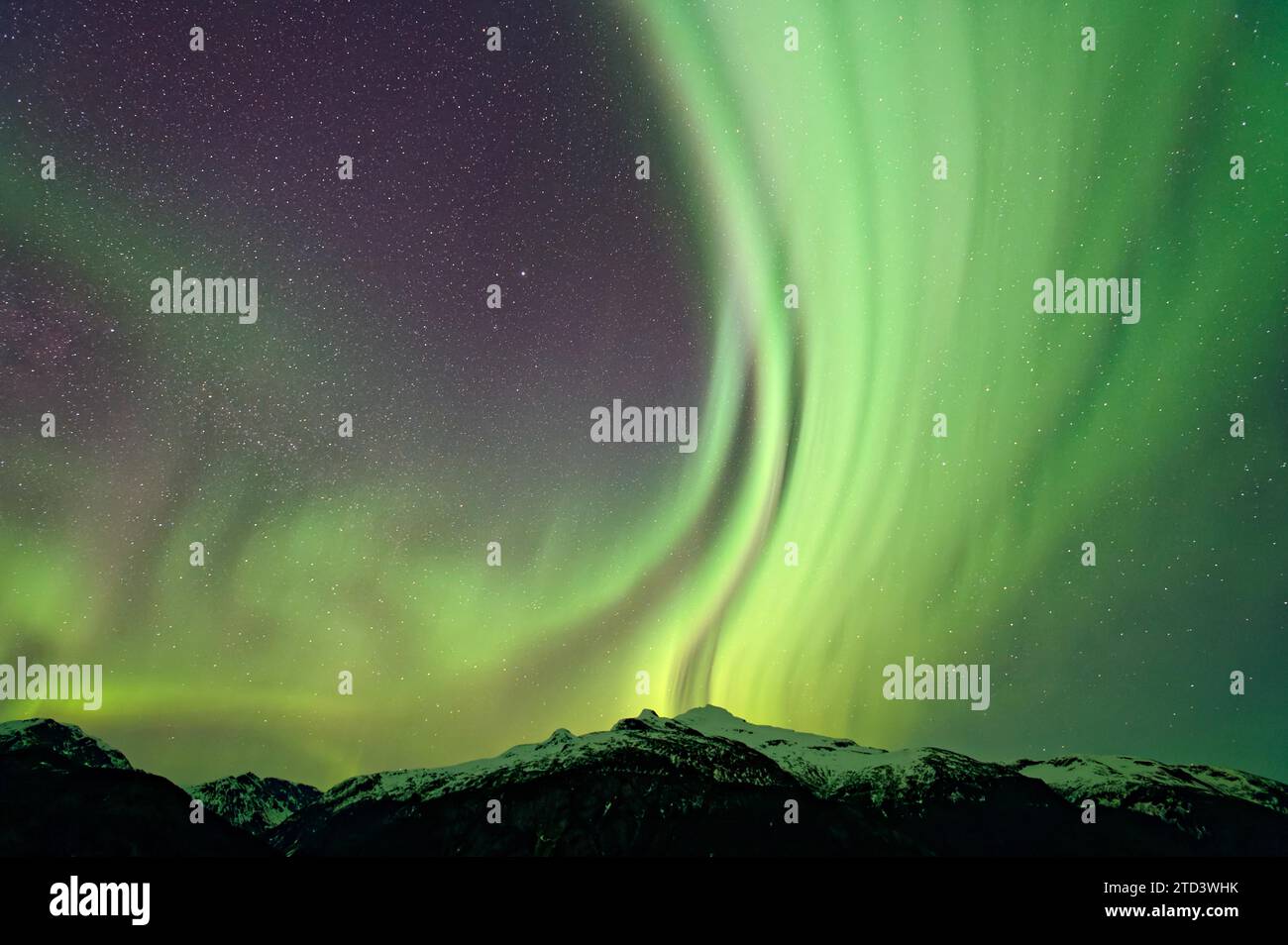 Northern lights (Aurora borealis) in different colours, starry sky ...