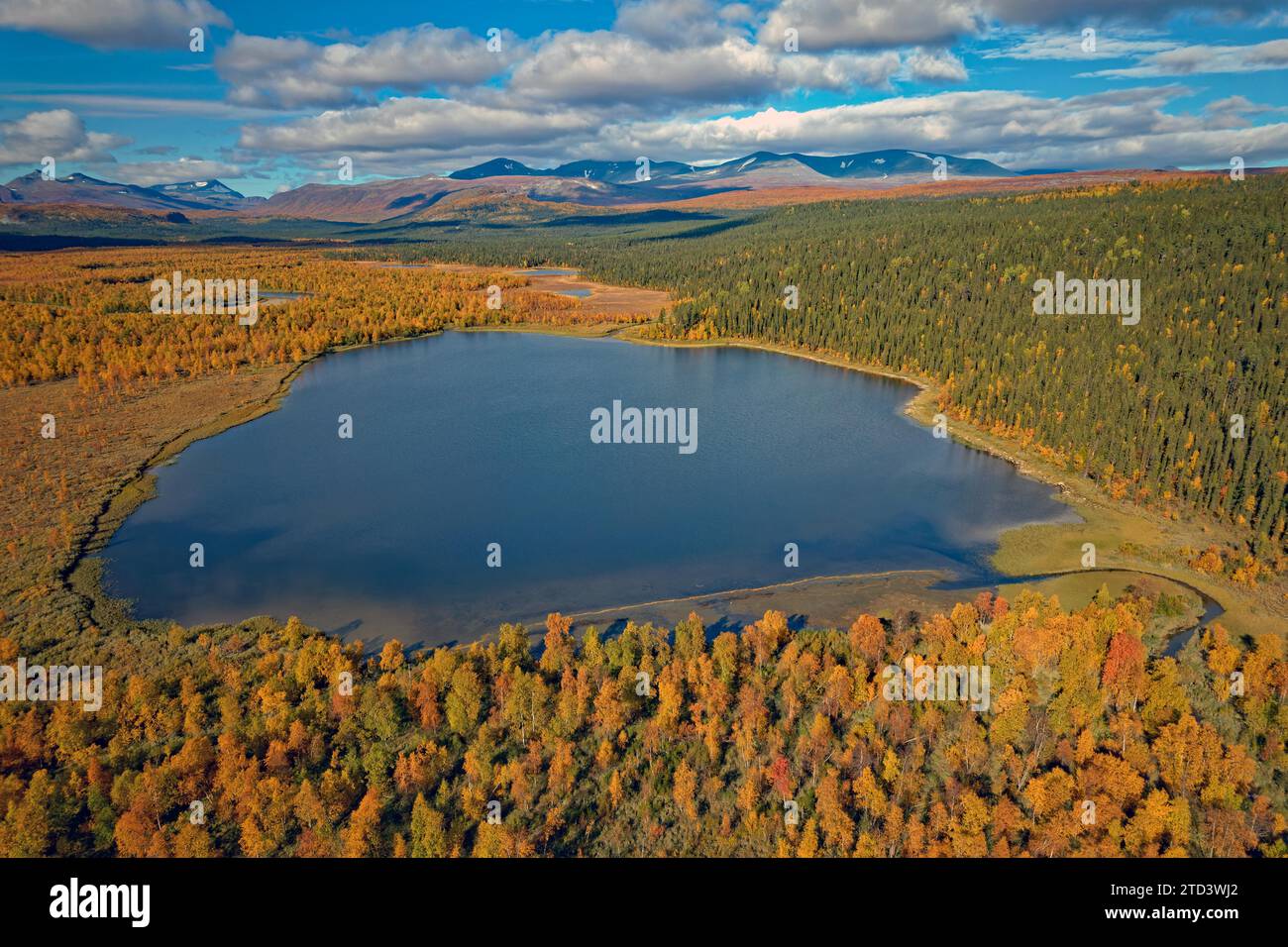 Drone shot, view of the Aenok marshland with lake, birch forests, deep ...
