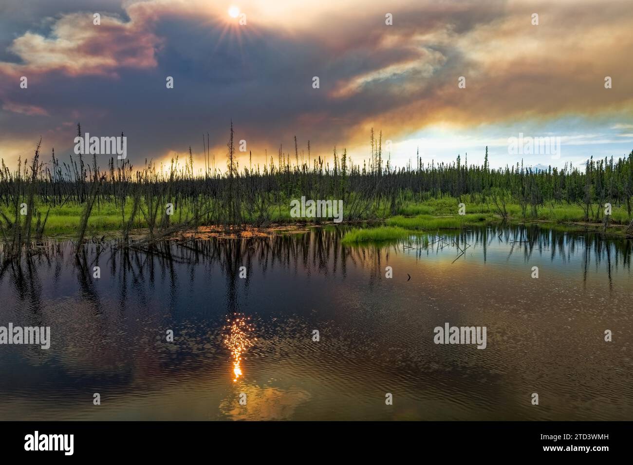 Fire in the taiga of northern Alaska, the intensely coloured smoke ...