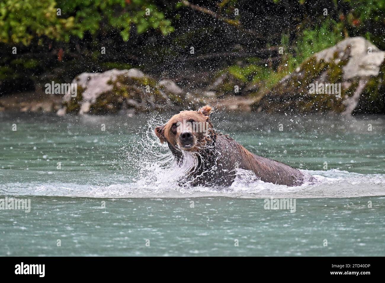Clark hunt hi-res stock photography and images - Alamy