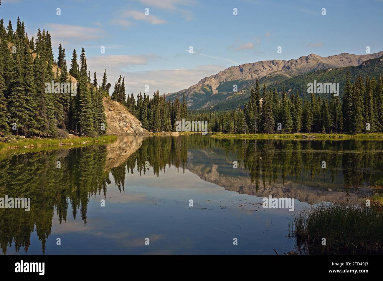 Alaska denali national park hi-res stock photography and images - Alamy