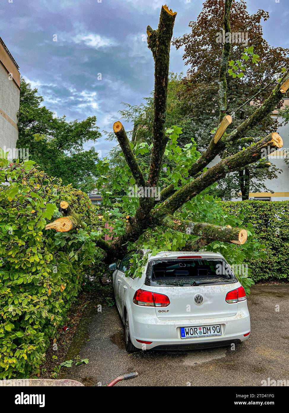 Trees fell on cars after a storm, car park in Wolfratshausen, Bavaria ...