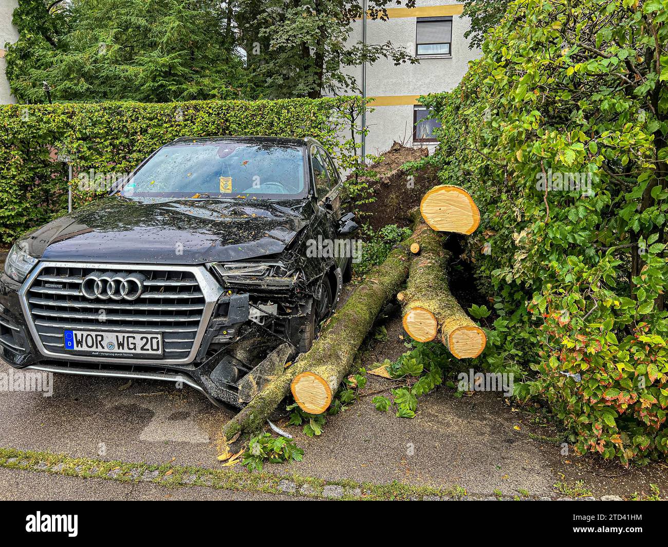Trees fell on cars after a storm, car park in Wolfratshausen, Bavaria ...