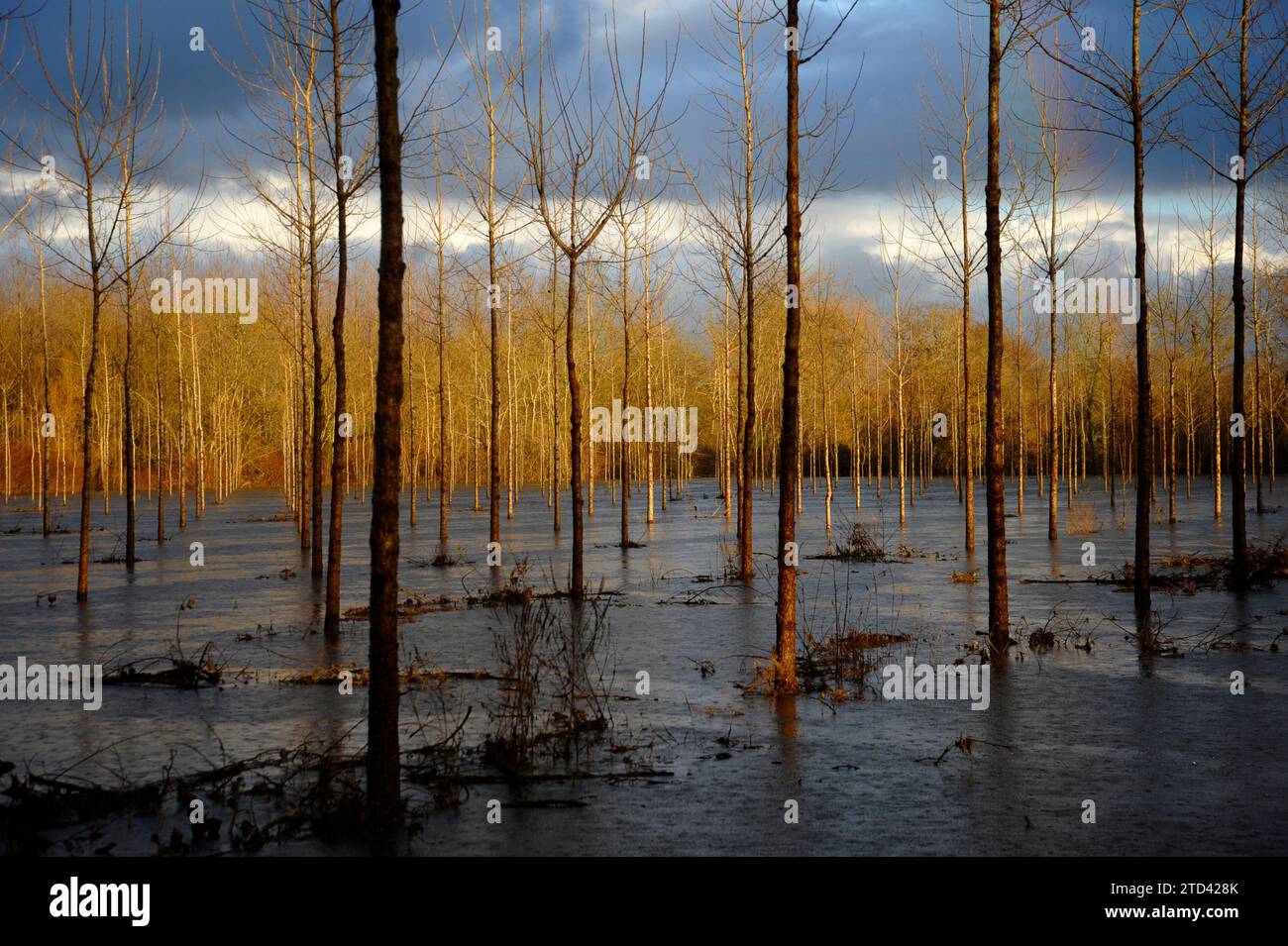 DORDOGNE DECEMBER 2023 FLOOD IN THE COUNTRYSIDE - HEAVY RAIN - WEATHER ...