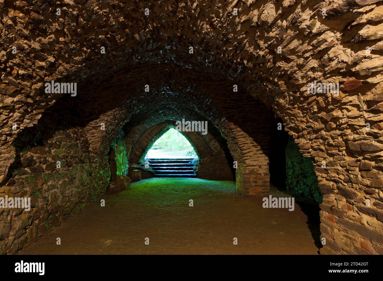 Altzella Monastery, wine cellar Stock Photo - Alamy