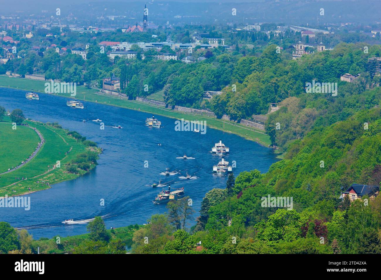 Steamboat parade on the Elbe Stock Photo - Alamy