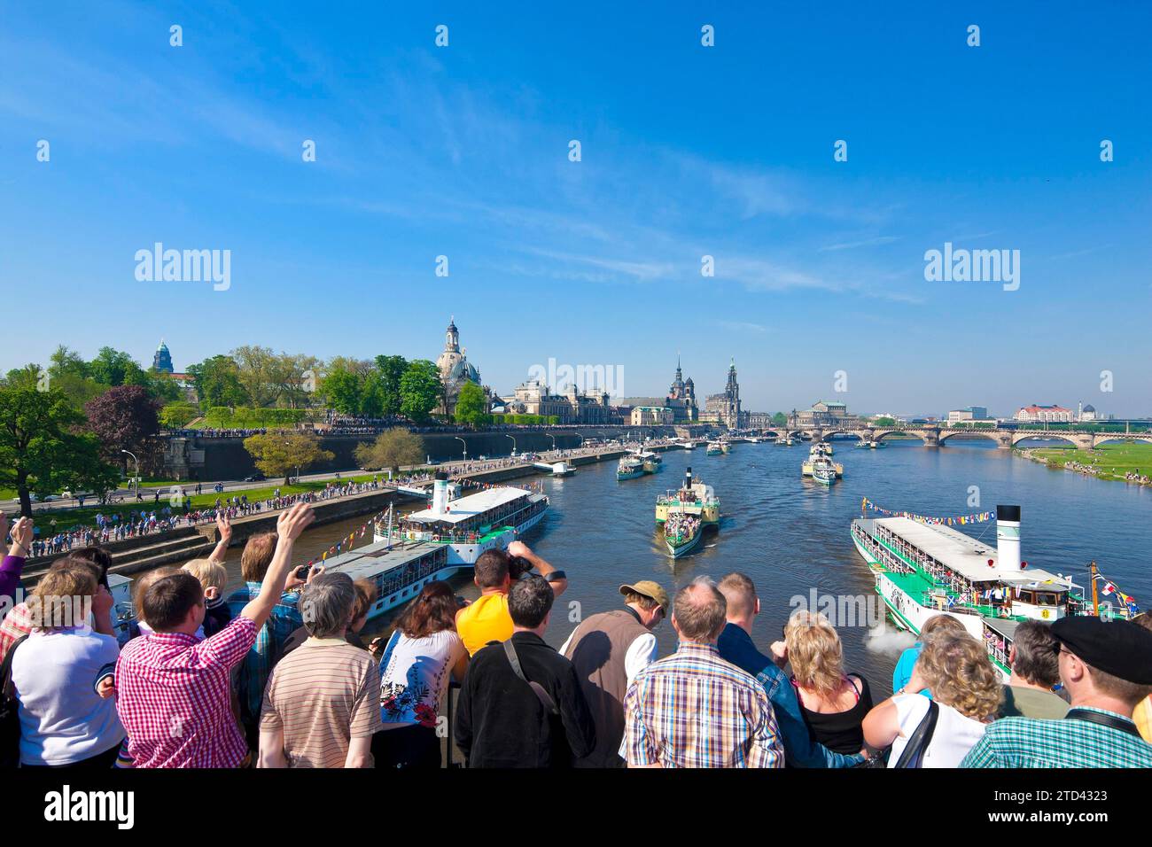 Steamboat parade on the Elbe Stock Photo - Alamy
