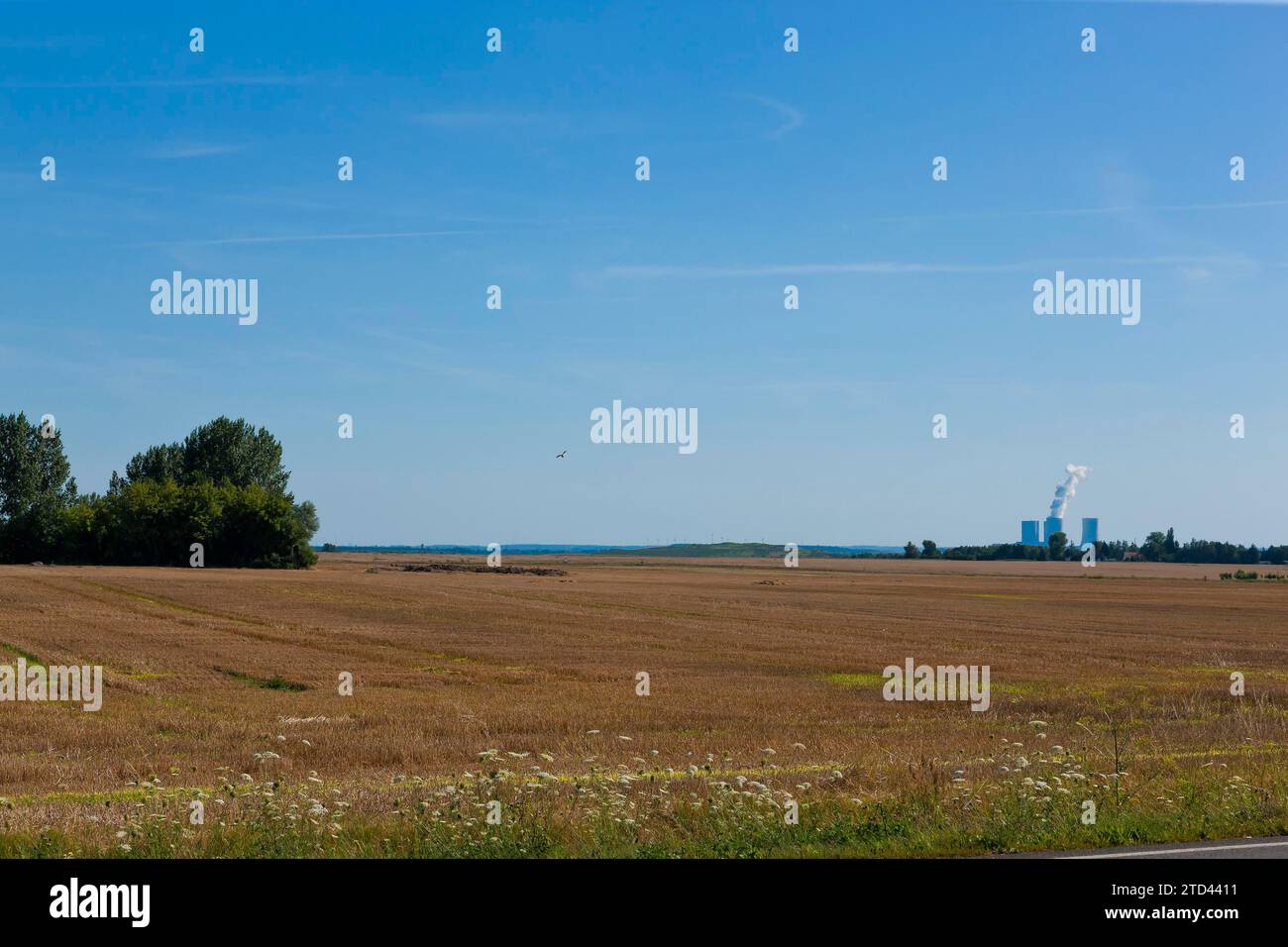 Battle of the Nations, southern battlefield Stock Photo - Alamy