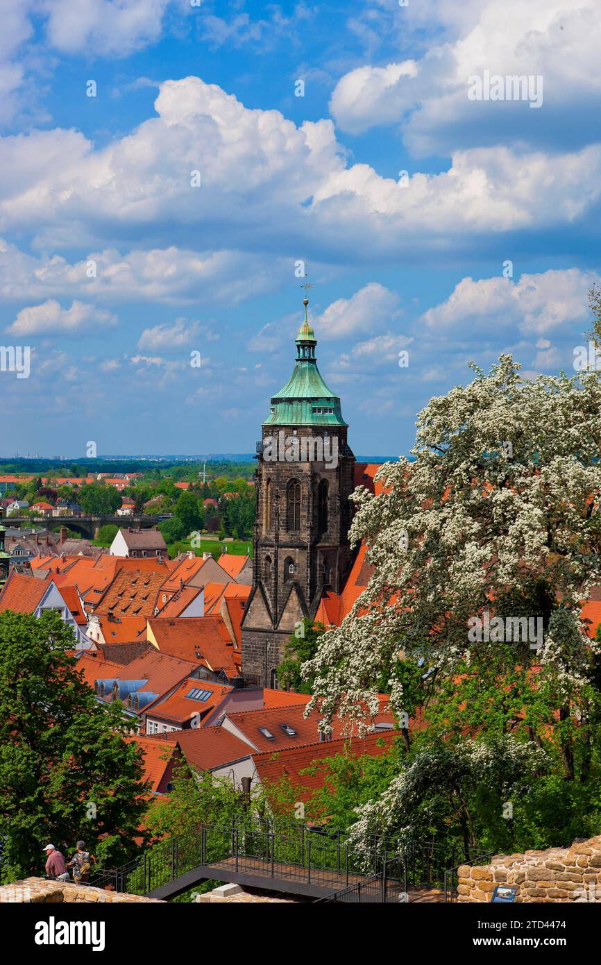 View of the city of pirna hi-res stock photography and images - Alamy