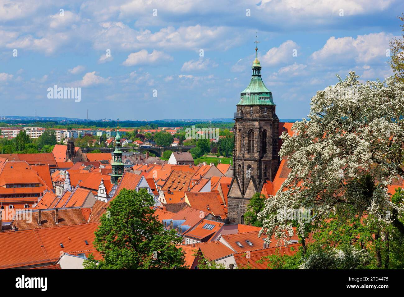 View of the city of pirna hi-res stock photography and images - Alamy