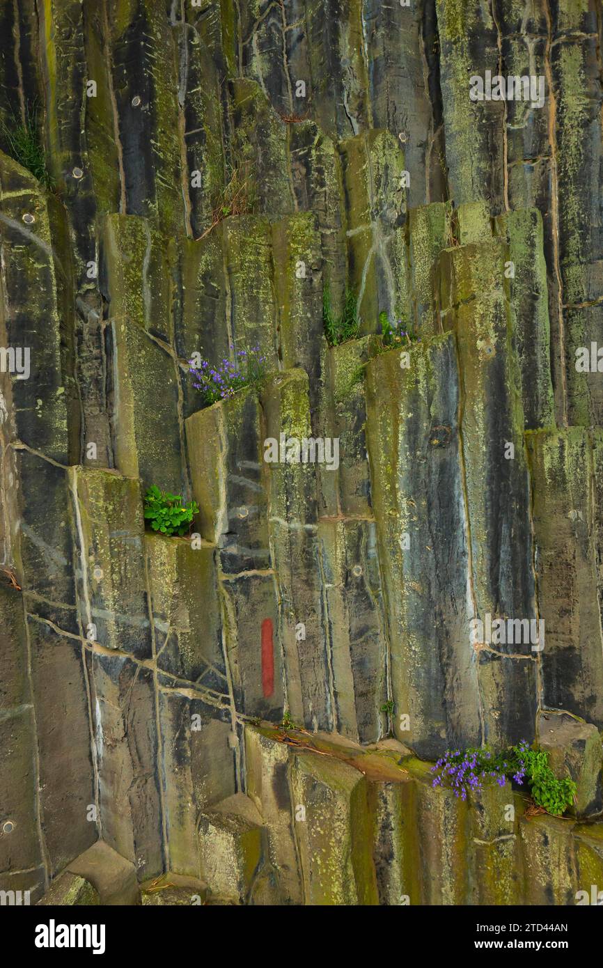 Stolpen Castle, basalt columns in the castle courtyard. The ruins of ...