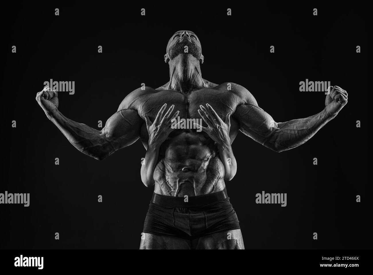 Perfect abdomen. Female hands embracing, touching muscular man abs ...