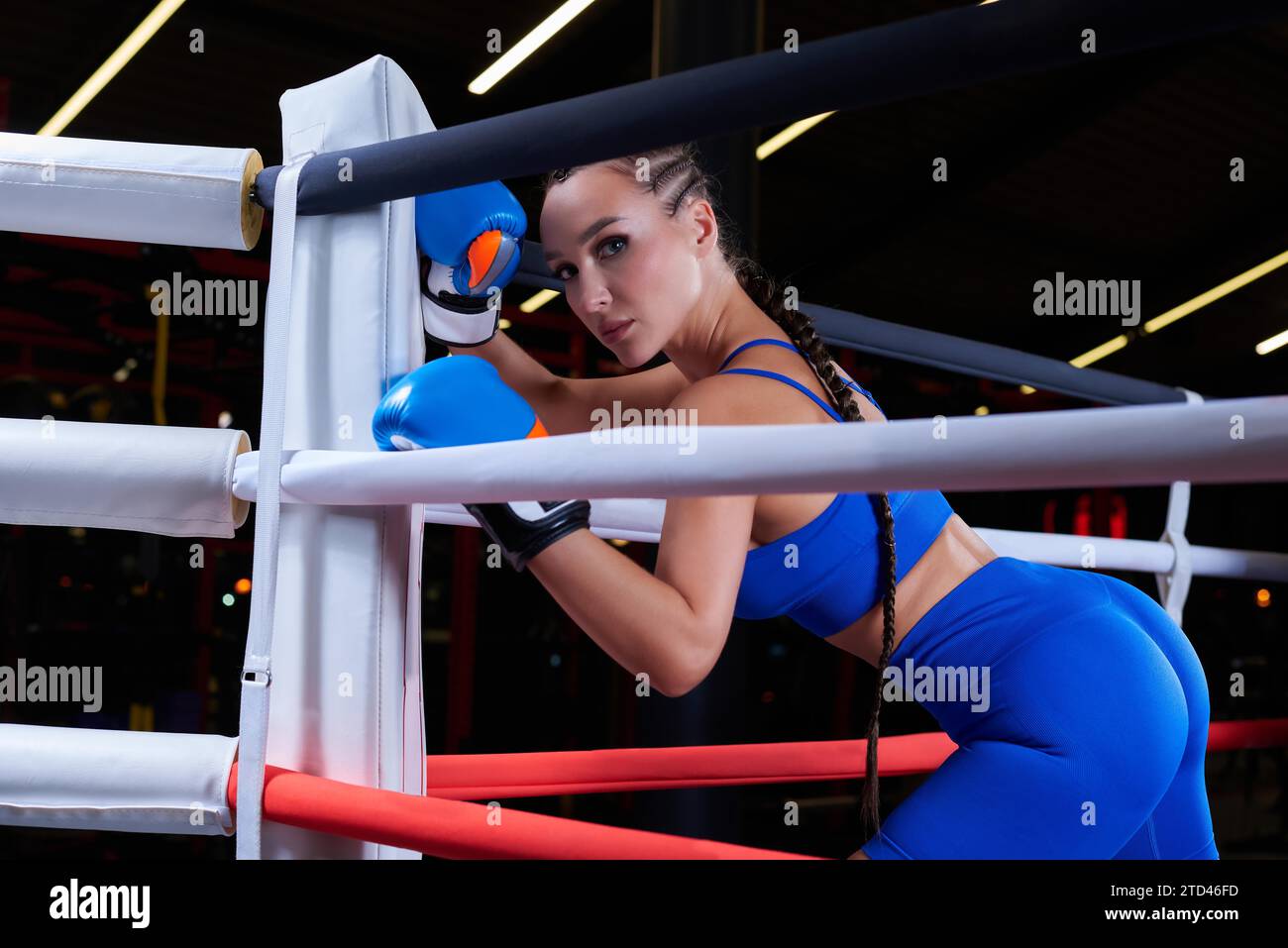Beautiful and strong sportswoman posing in the corner of the ring. The ...