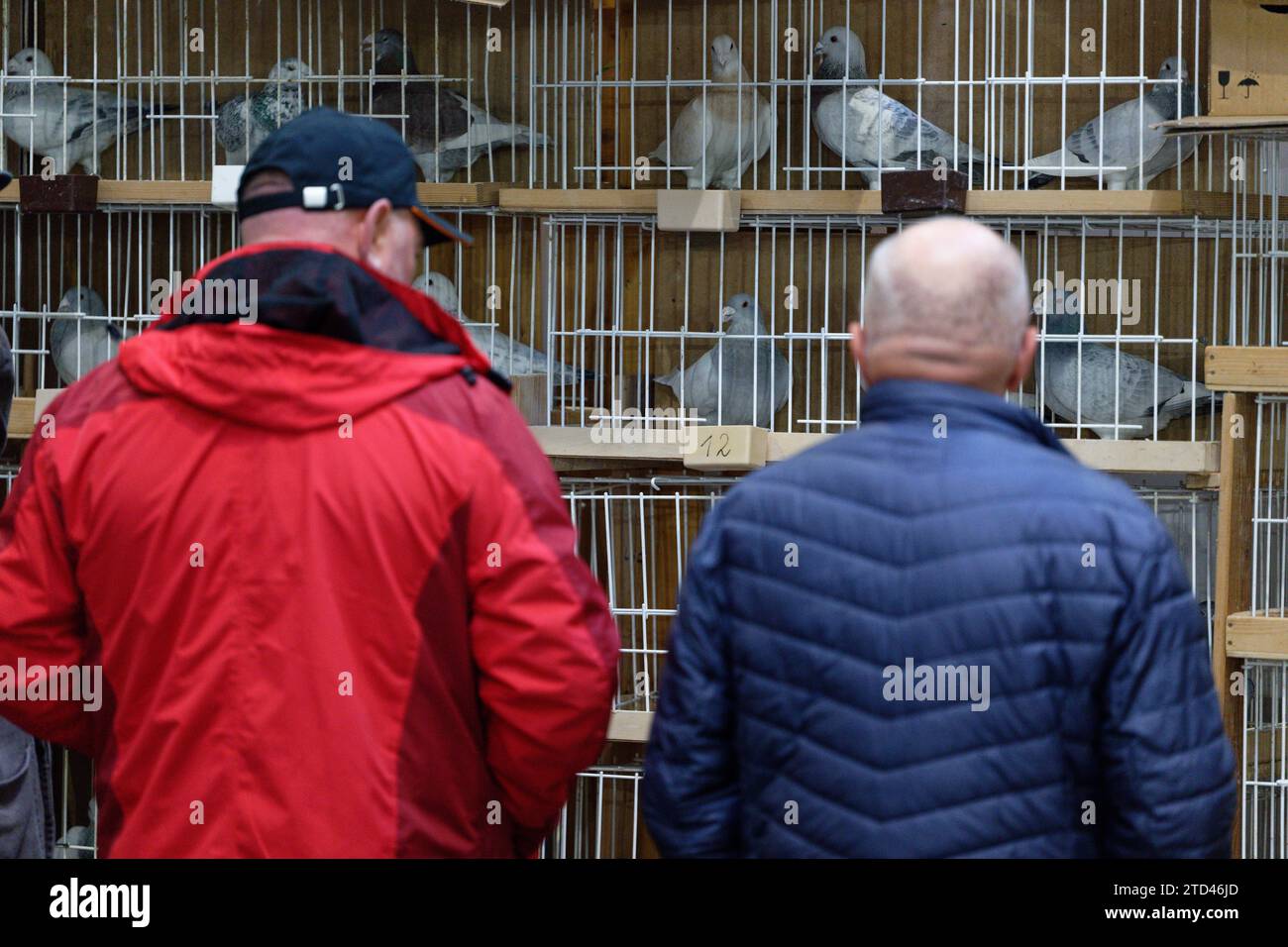 16 December 2023, North Rhine-Westphalia, Dortmund: Visitors view the ...