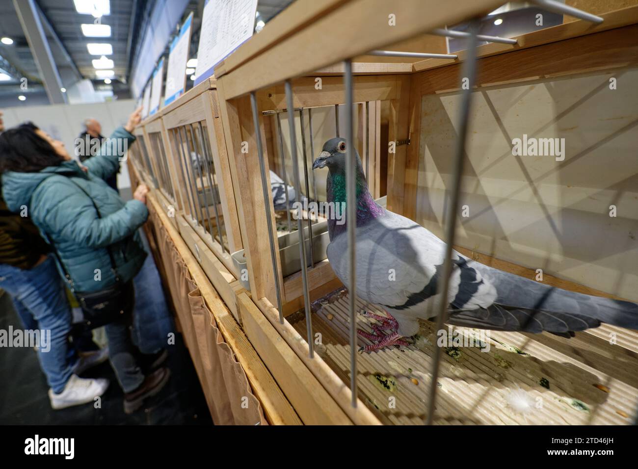 16 December 2023, North Rhine-Westphalia, Dortmund: Visitors view the ...