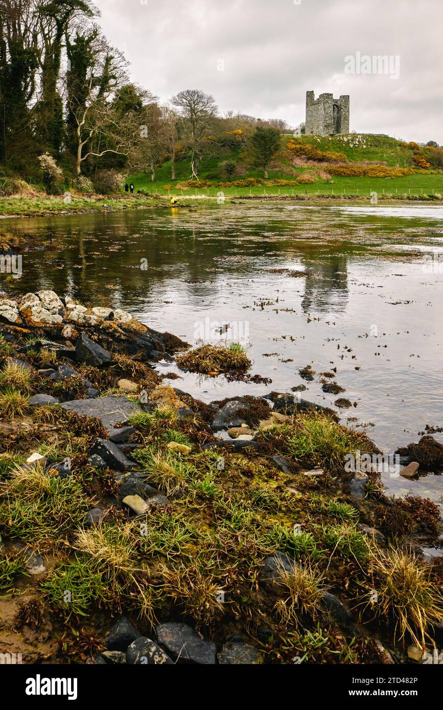 Audley's Castle on the shores of Strangford Lough, County Down ...