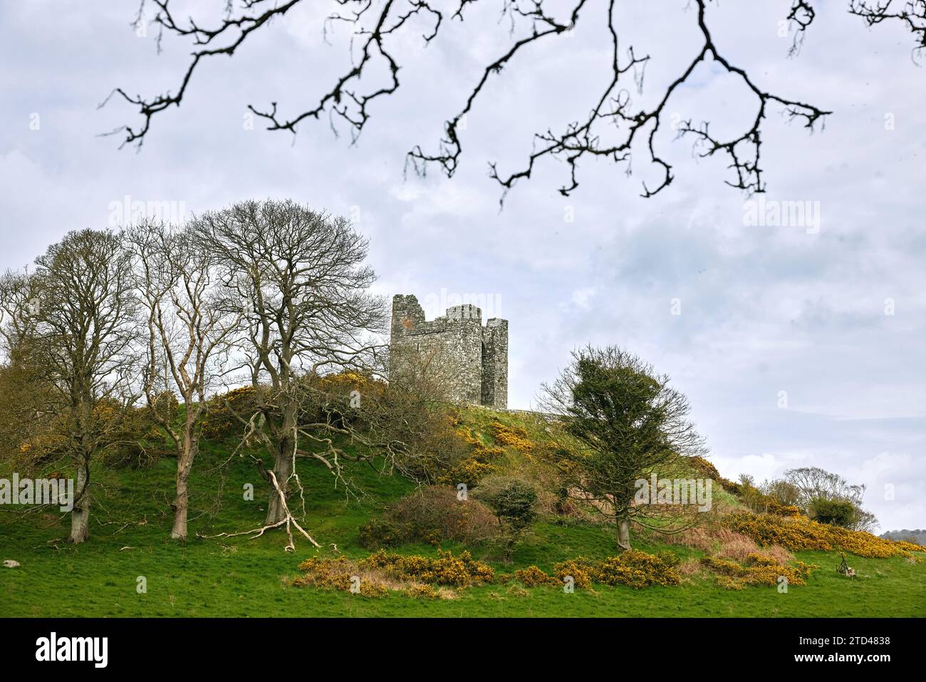 Audley's Castle, Strangford Lough, County Down, Northern Ireland. The ...
