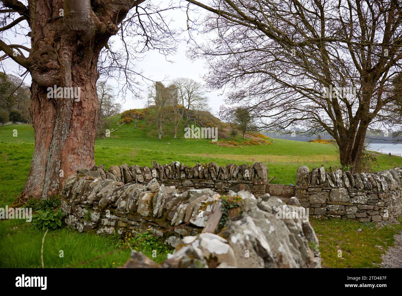 Audley's Castle, Strangford Lough, County Down, Northern Ireland. The ...