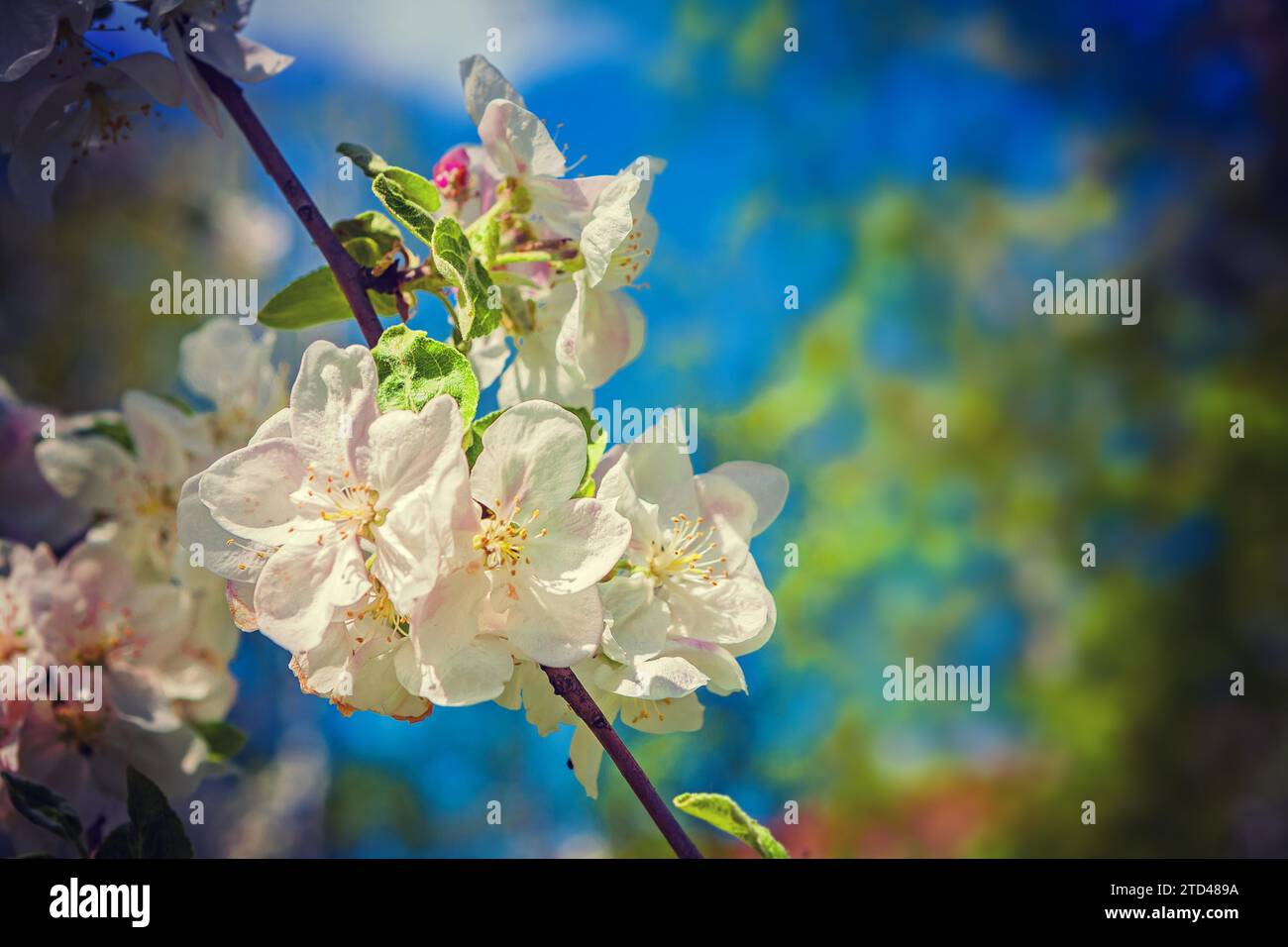 Instagram style hi-res stock photography and images - Alamy