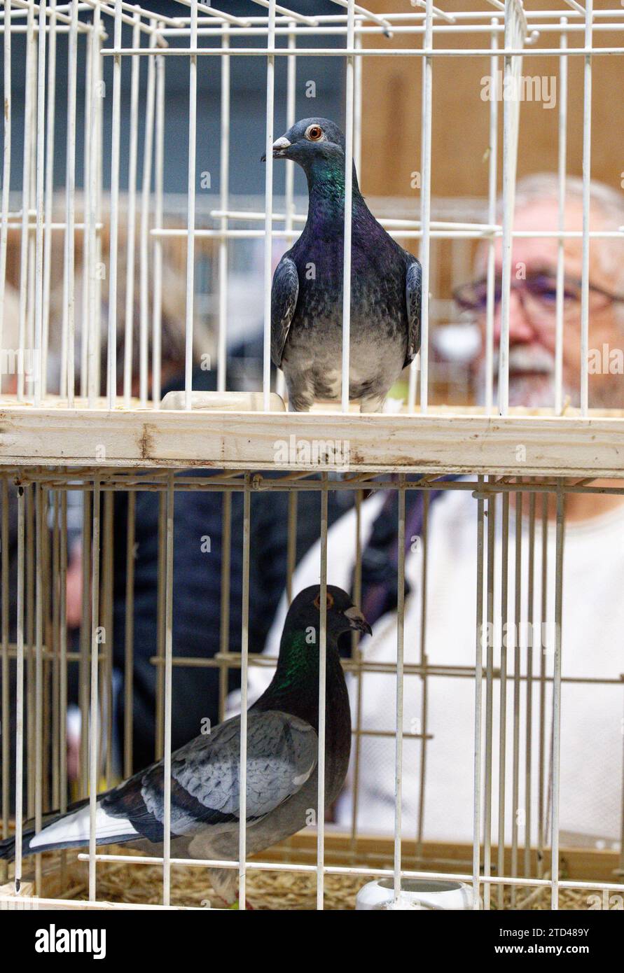 16 December 2023, North Rhine-Westphalia, Dortmund: A visitor looks at ...