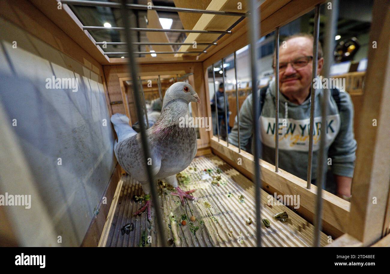 16 December 2023, North Rhine-Westphalia, Dortmund: A visitor looks at ...