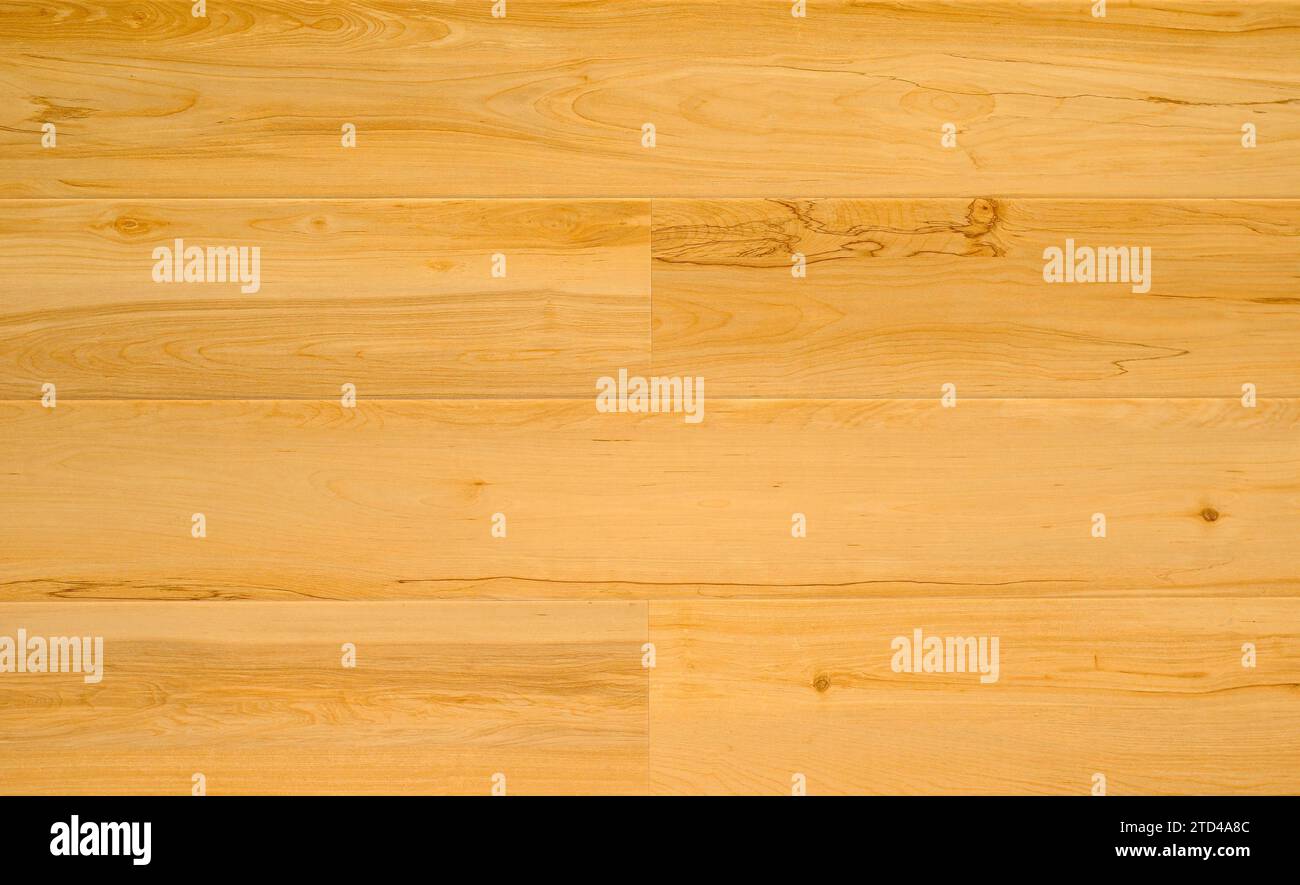 Natural wood flooring sample high resolution photo Stock Photo - Alamy