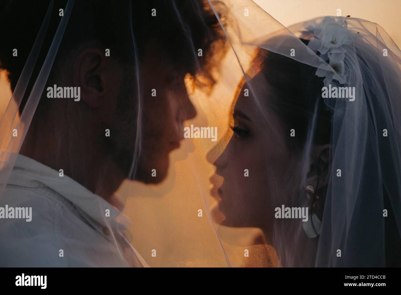 Beautiful young couple in love, newlyweds under a veil, love story at ...