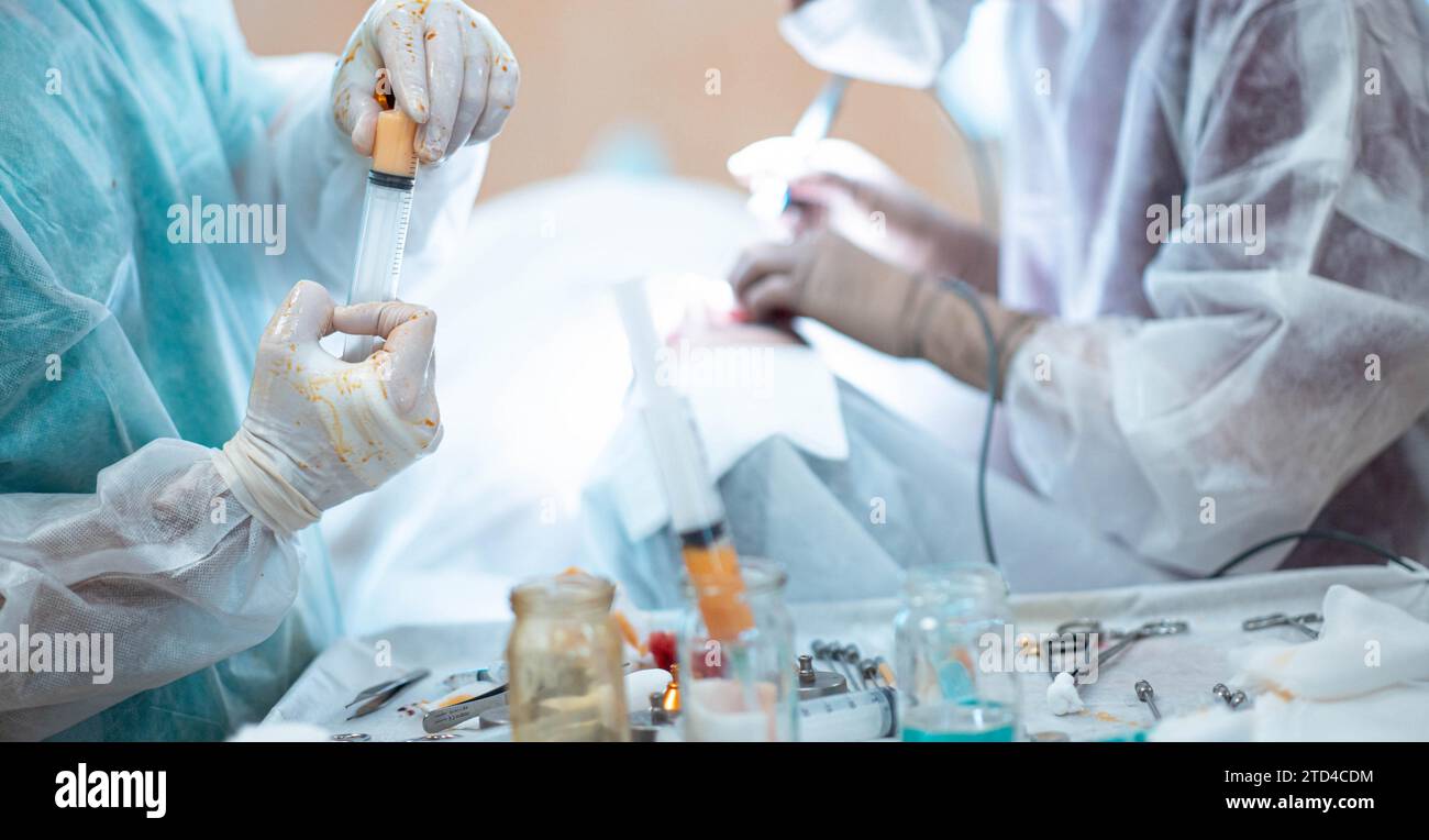 Fat cell hi-res stock photography and images - Alamy