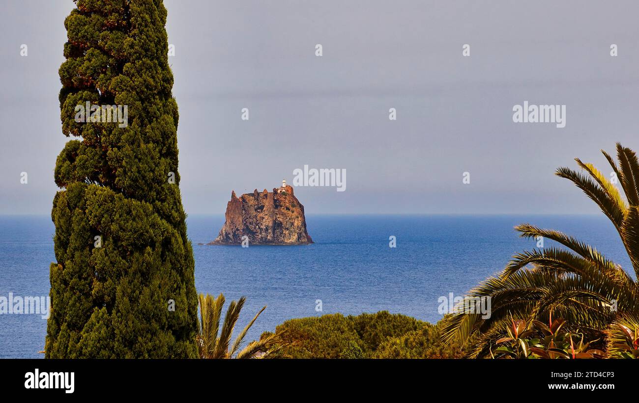 Strombolichio, small volcanic rock island off Stromboli, palm tree ...