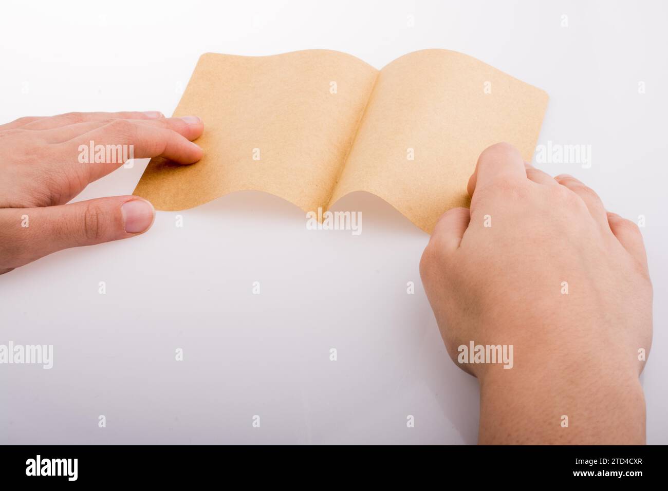 Hand holding a sheet of paper on a white background Stock Photo - Alamy