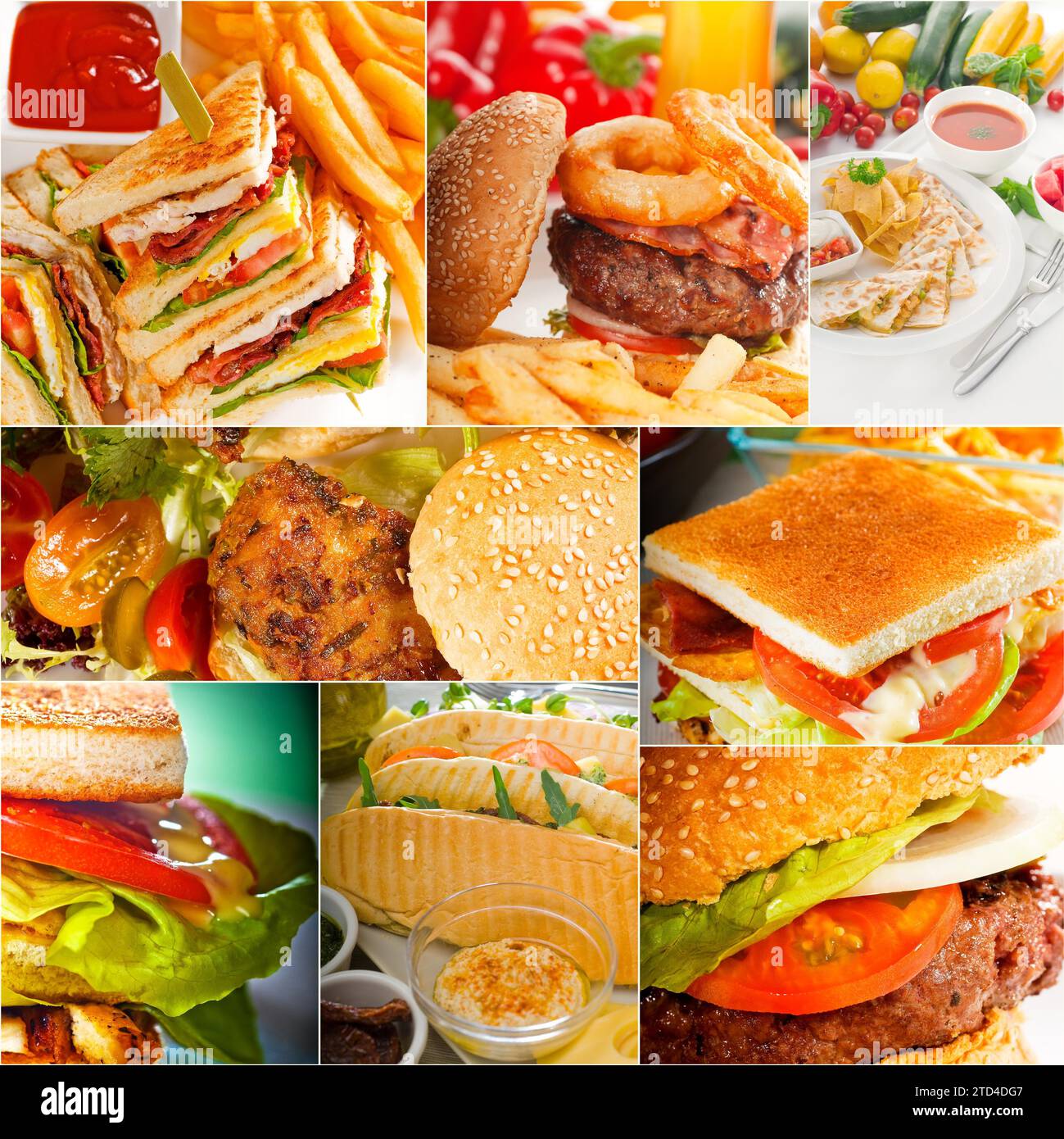Burgers and sandwiches collection on a collage nested square canvas ...