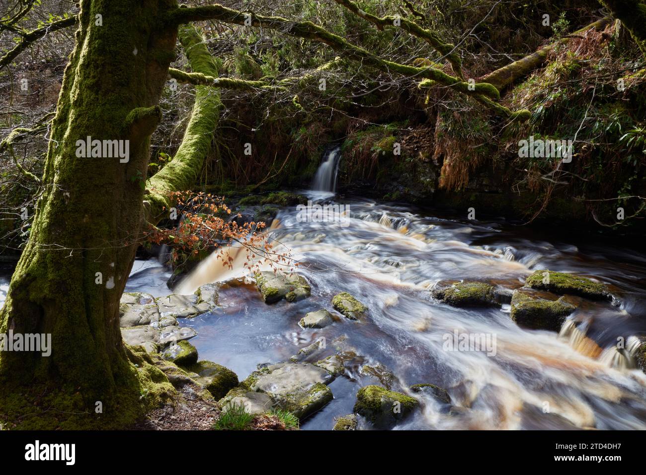 Waterfalls in Glenariff Forest Park, County Antrim, Northern Ireland ...