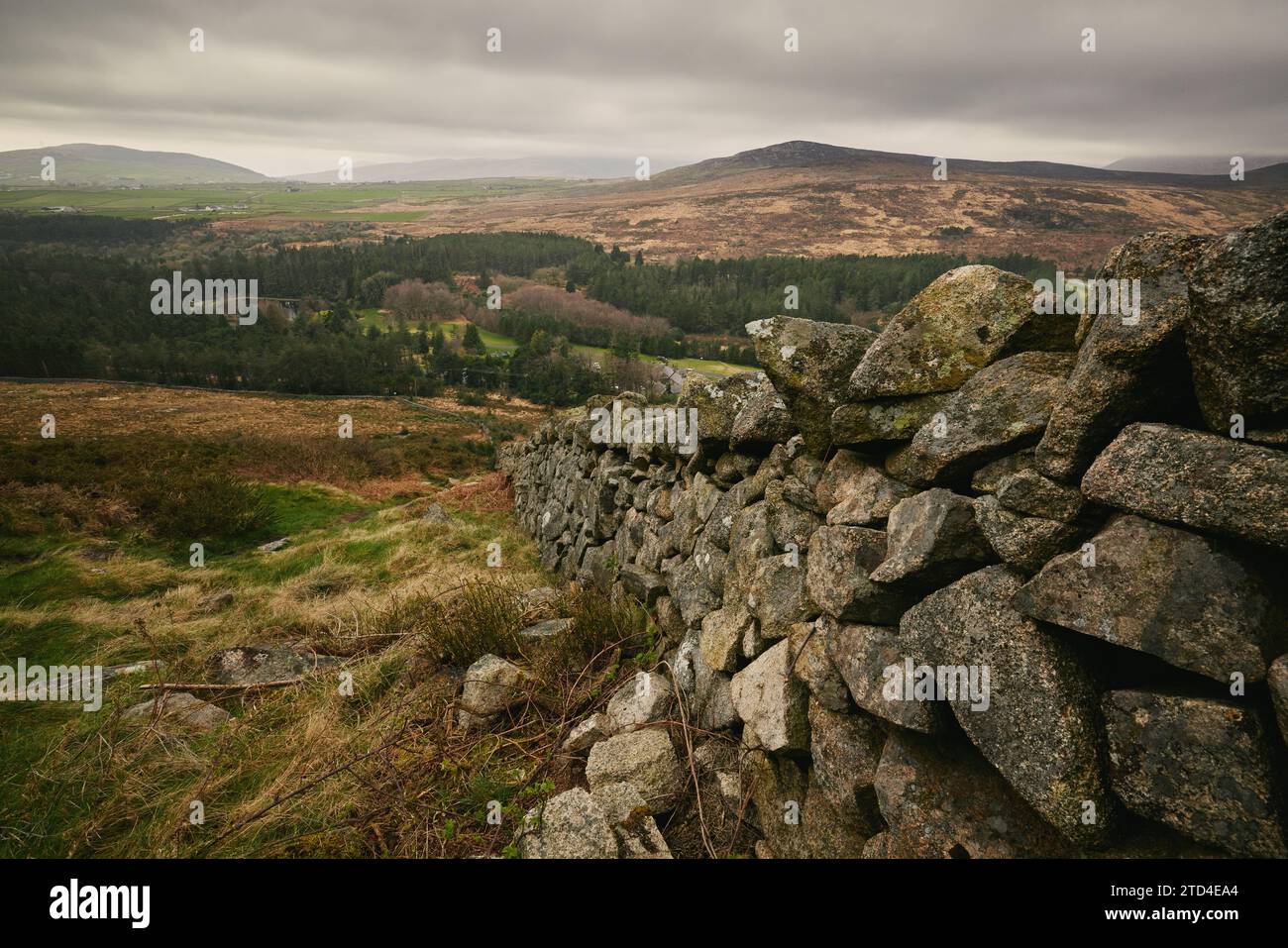 Mourne Wall on the slopes of Moolieve Mountain, Mourne Mountains ...