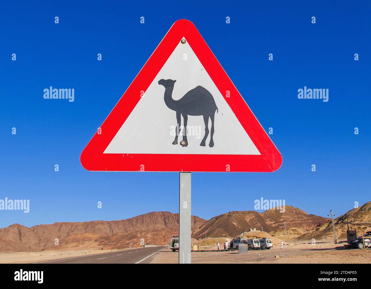 Road sign, Attention camels, Road in Sinai, Egypt Stock Photo - Alamy