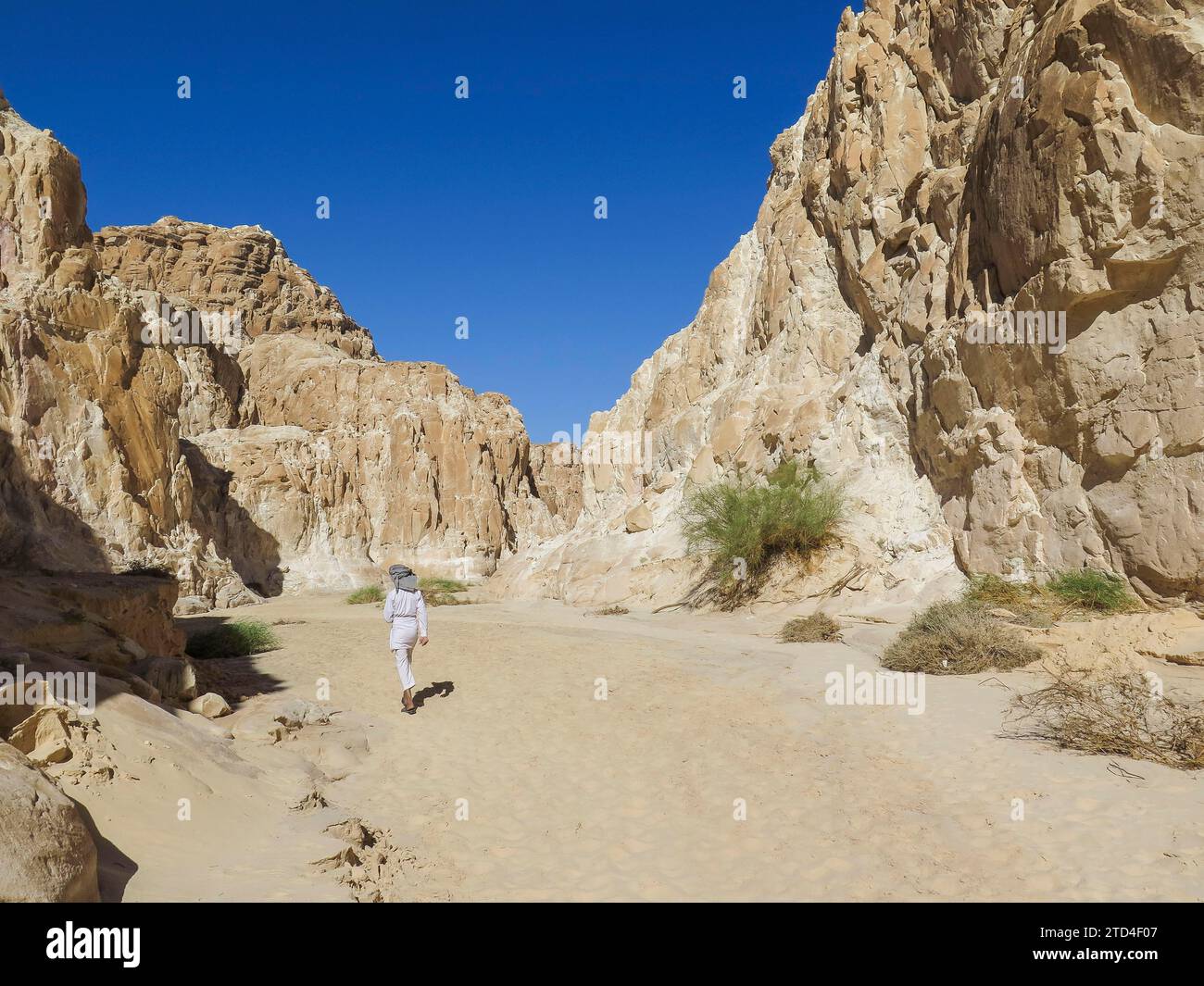 Bedouin in the White Canyon, southern Sinai, Egypt Stock Photo - Alamy