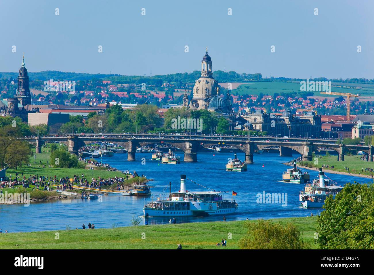 Steamboat parade on the Elbe Stock Photo - Alamy