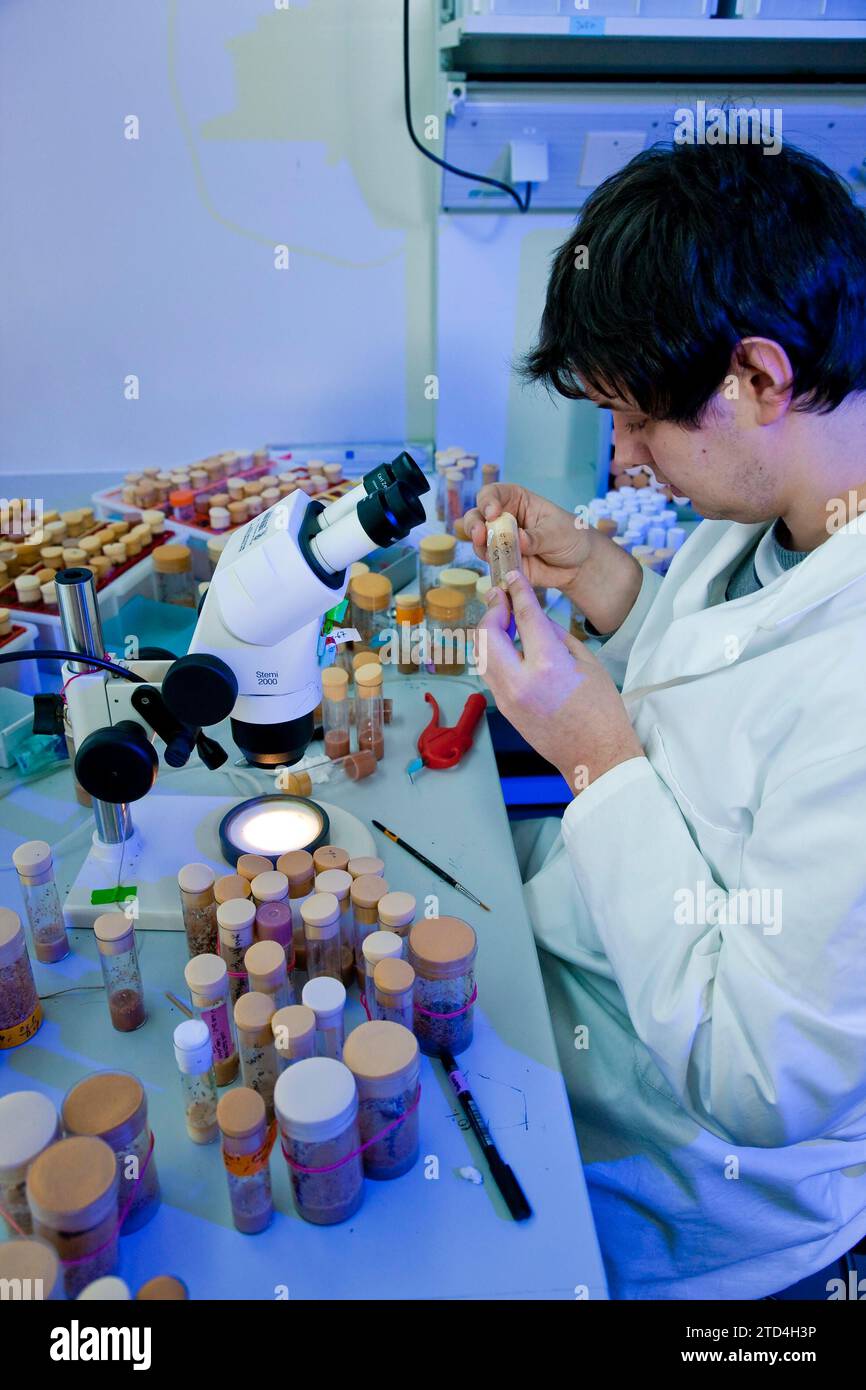 Max Planck Institute of Molecular Cell Biology and Genetics Stock Photo ...