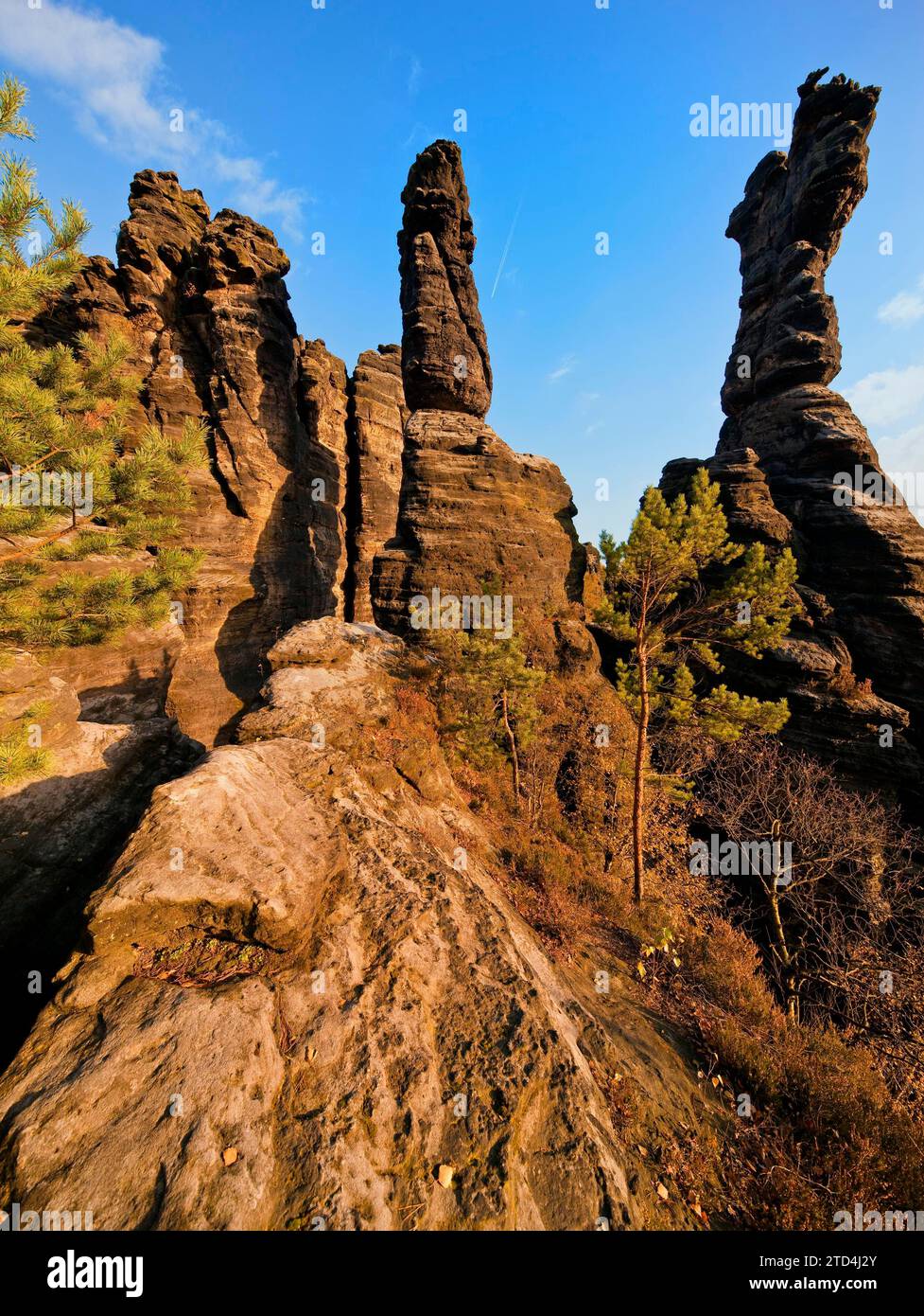 Hercules Columns in the Biela Valley in Saxon Switzerland Stock Photo ...