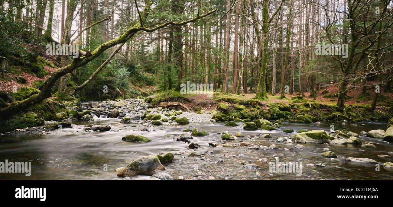 Rivers in Tollymore Forest Park, County Down, Northern Ireland Stock ...
