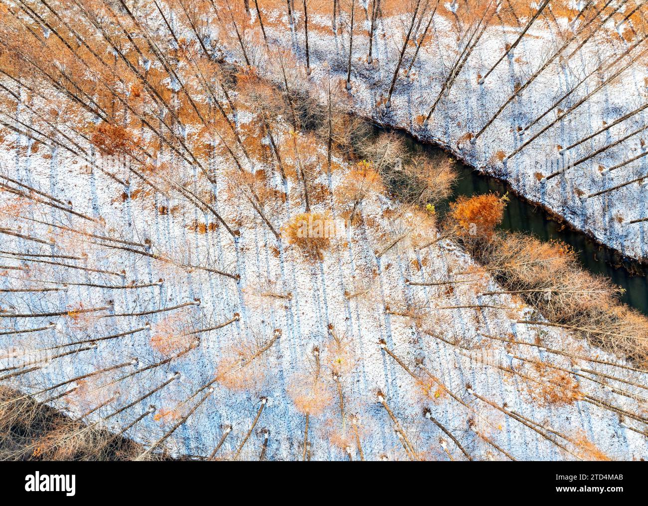 HUAI'AN, CHINA - DECEMBER 16, 2023 - Photo taken on Dec 16, 2023 shows ...