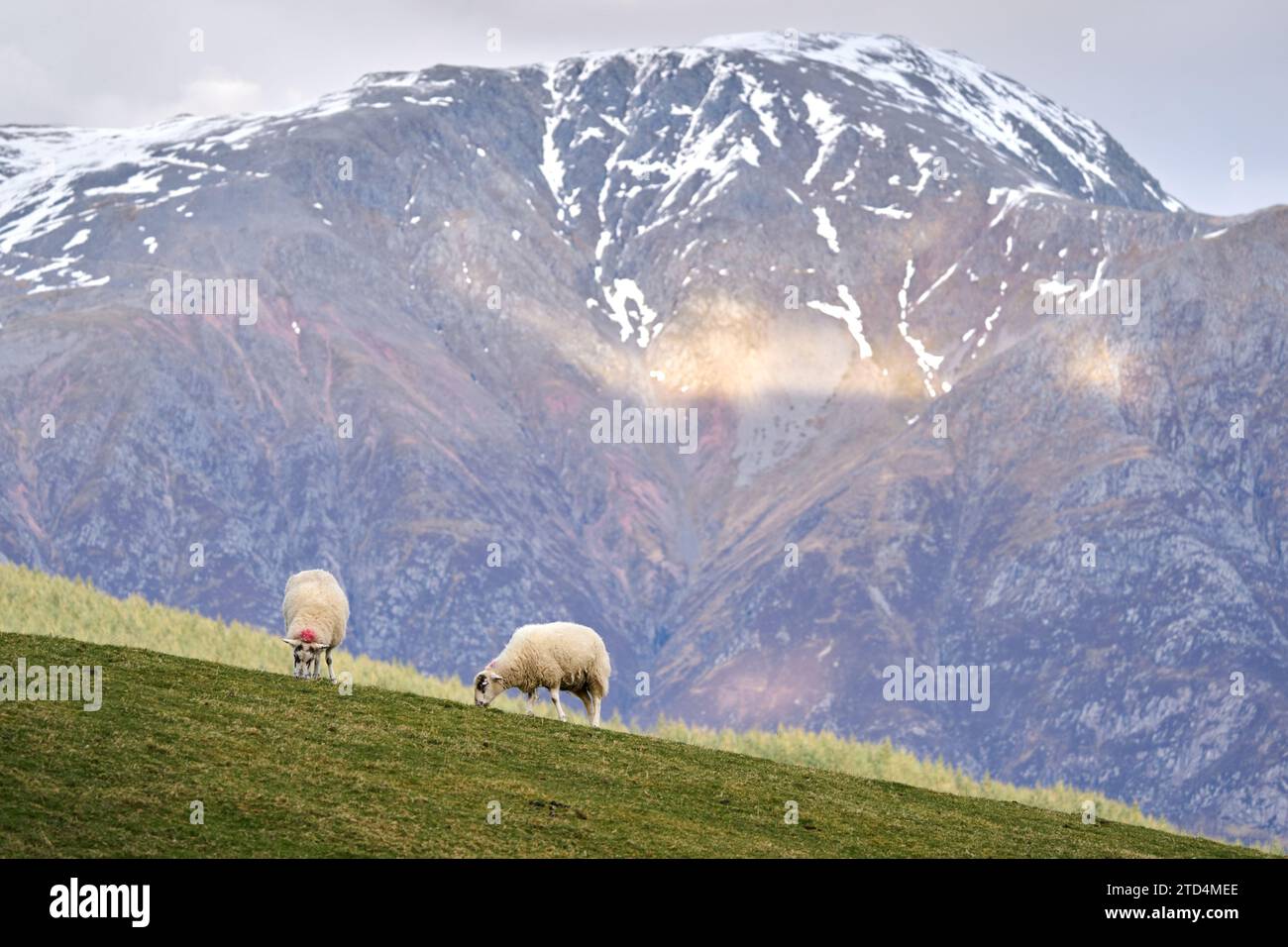 Ben nevis under snow hi-res stock photography and images - Alamy