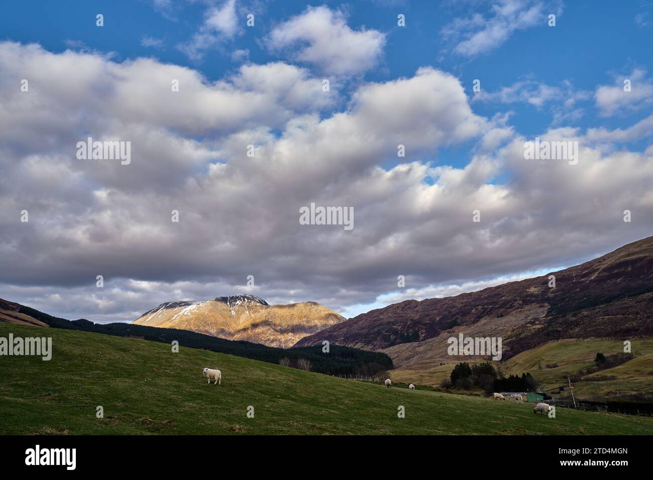 Fort william ben nevis road hi-res stock photography and images - Alamy